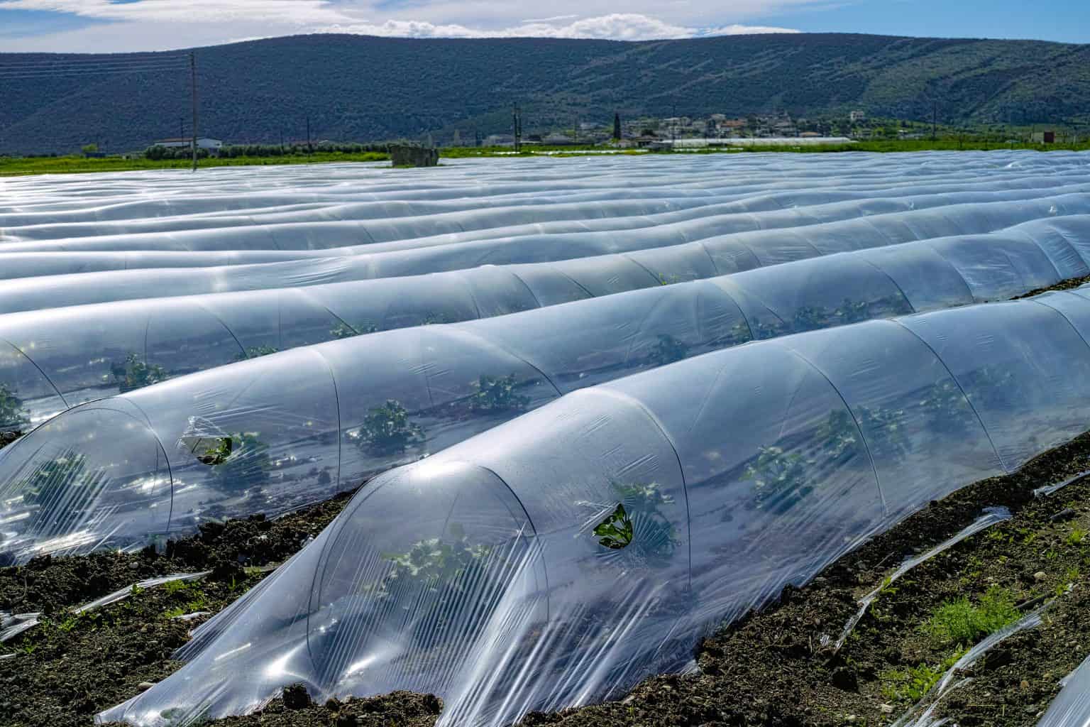 Innovating the future • Plastics Europe